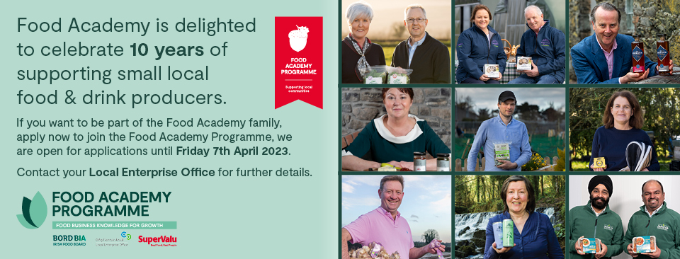 Local Enterprise Office - Limerick